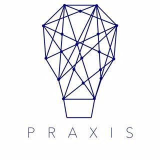 PRAXIS Organizational Development Logo & Brand Assets (SVG, PNG and ...