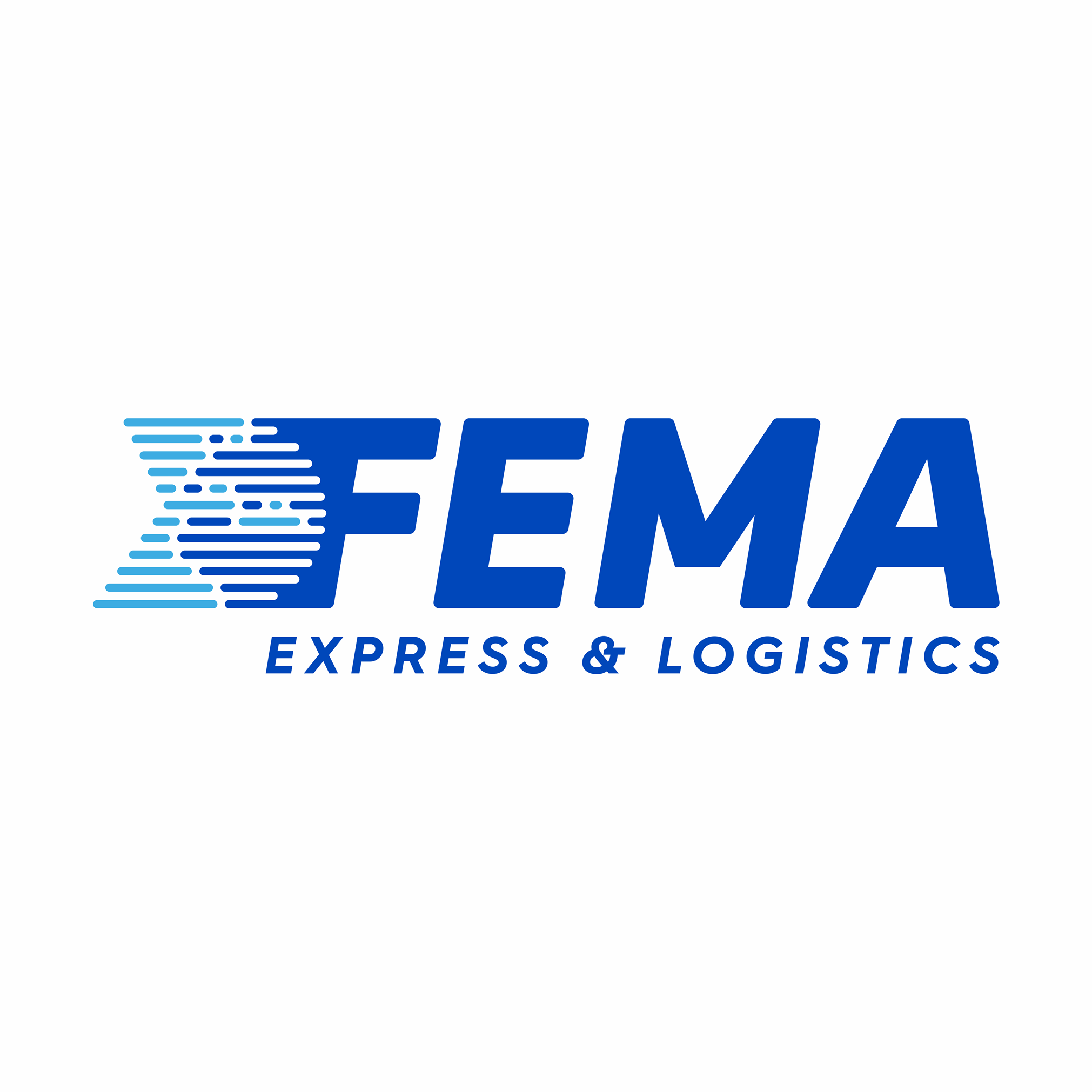 Fema Logo & Brand Assets (SVG, PNG and vector) - Brandfetch
