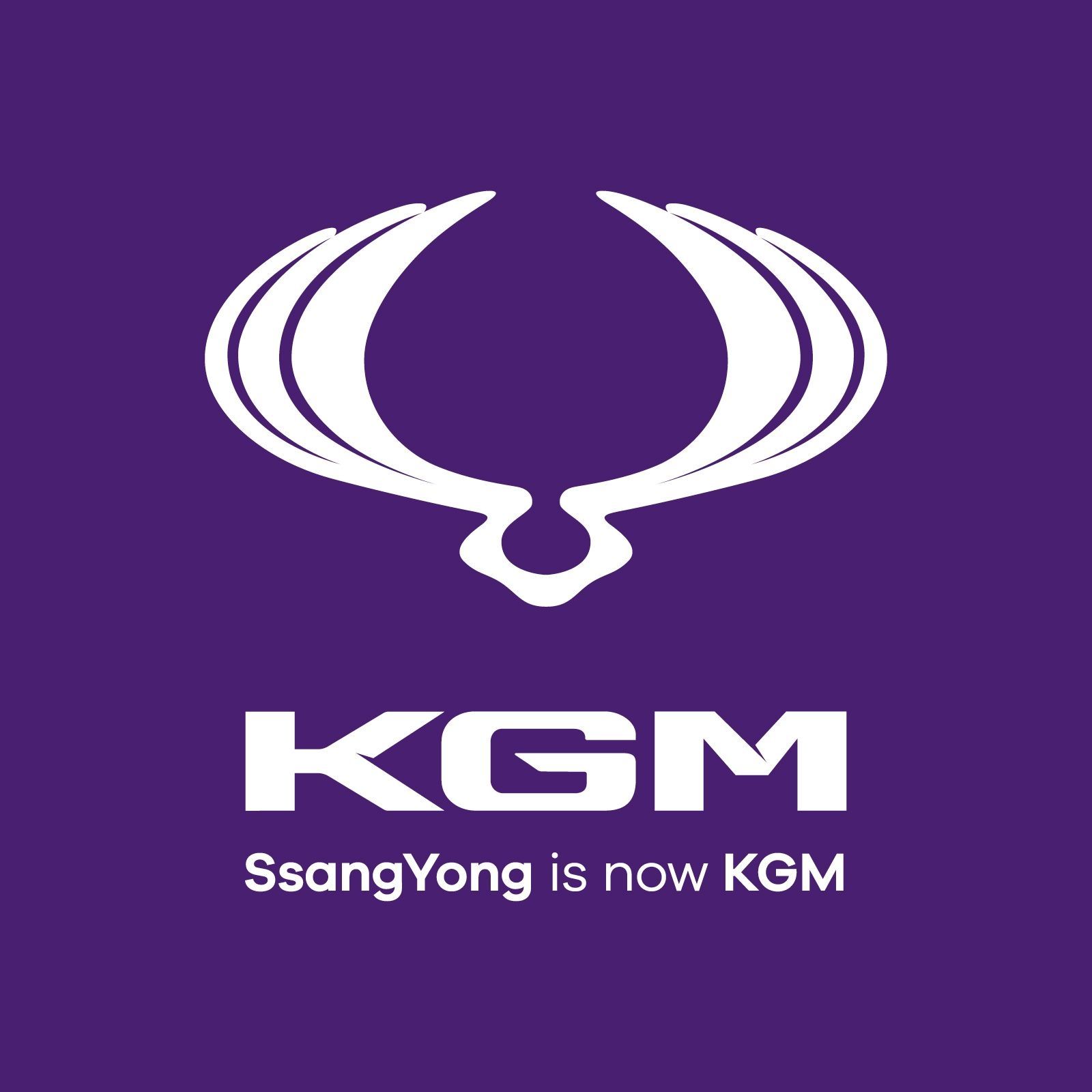 KGM Belgium and Luxembourg Logo & Brand Assets (SVG, PNG and vector) - Brandfetch