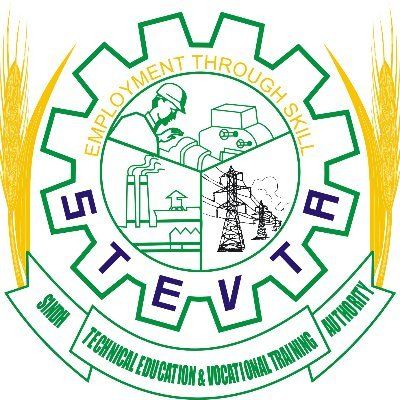 Sindh TEVTA Official Logo & Brand Assets (SVG, PNG and vector) - Brandfetch