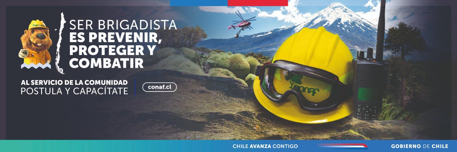 CONAF Logo & Brand Assets (SVG, PNG and vector) - Brandfetch