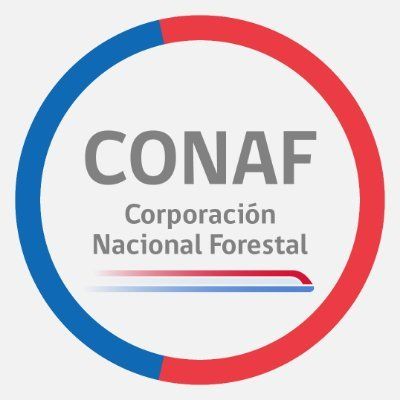 CONAF Logo & Brand Assets (SVG, PNG and vector) - Brandfetch
