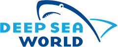 Deep Sea World Logo & Brand Assets (SVG, PNG and vector) - Brandfetch