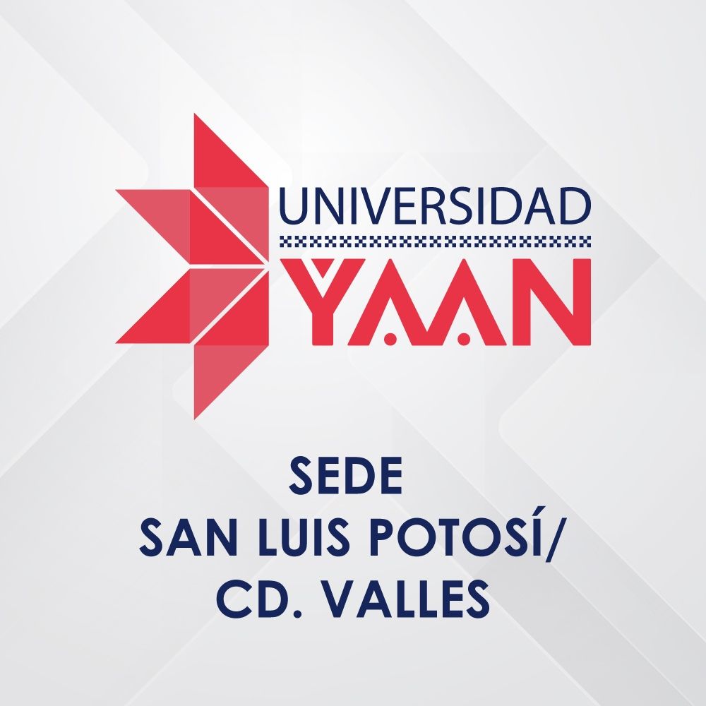 Universidad Yaan Logo & Brand Assets (SVG, PNG and vector) - Brandfetch