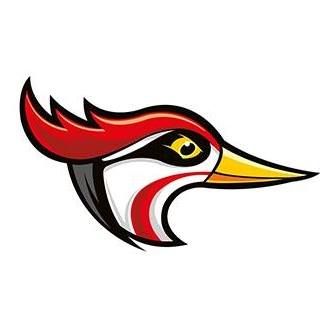 Rockpecker Logo & Brand Assets (SVG, PNG and vector) - Brandfetch