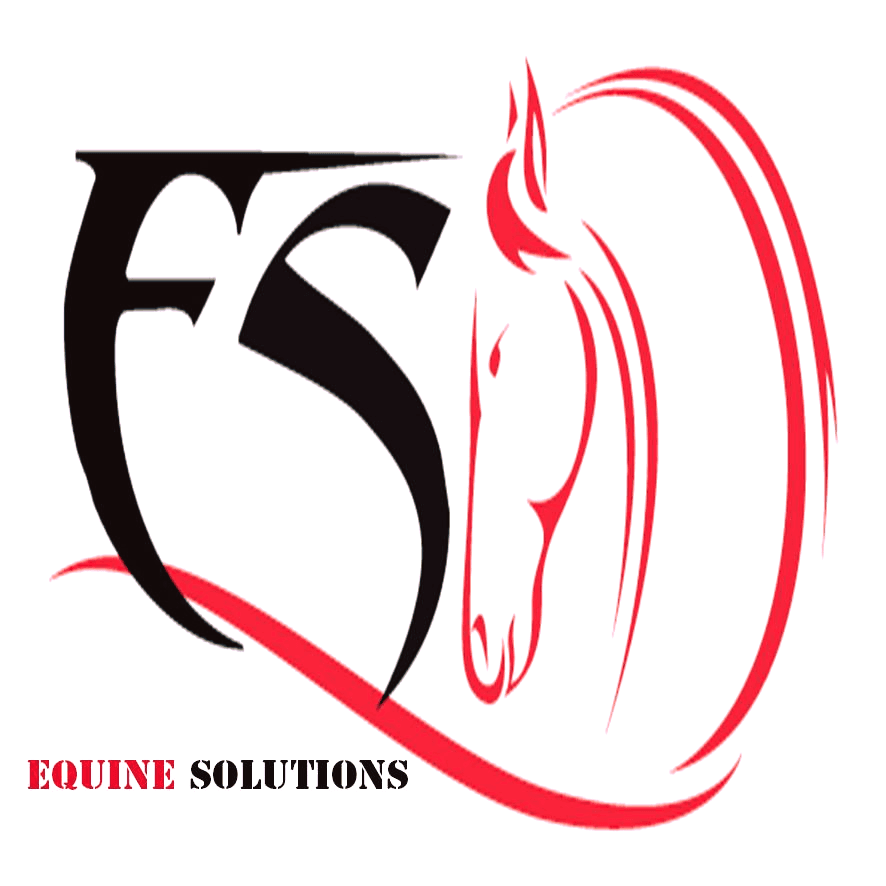Equine Solutions Logo & Brand Assets (SVG, PNG and vector) - Brandfetch
