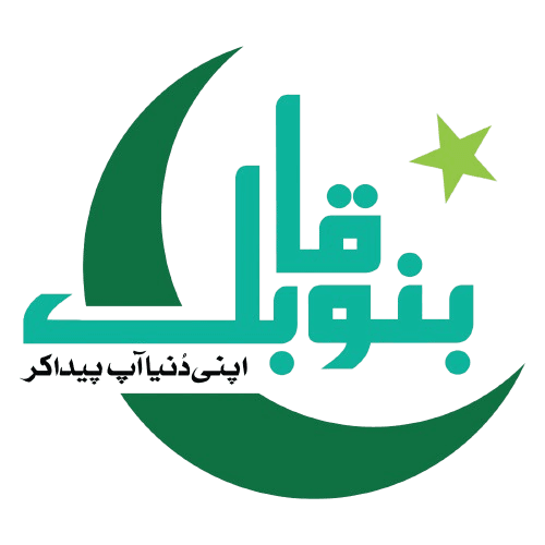 Banoqabil Official Logo & Brand Assets (SVG, PNG and vector) - Brandfetch