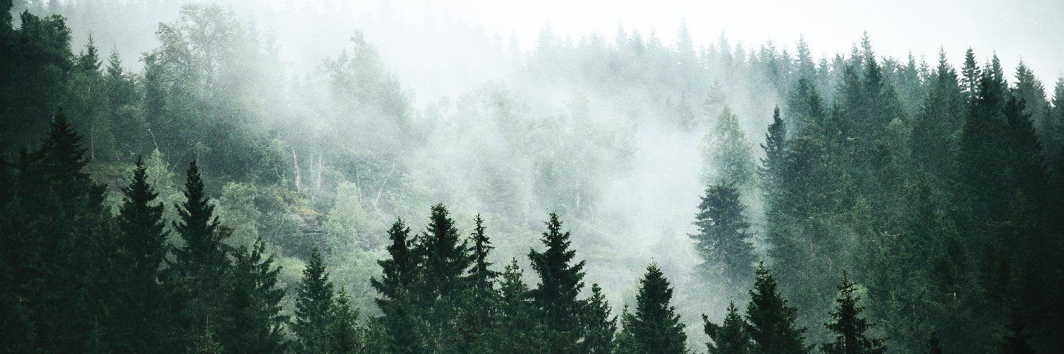 Kahf Logo & Brand Assets (SVG, PNG and vector) - Brandfetch