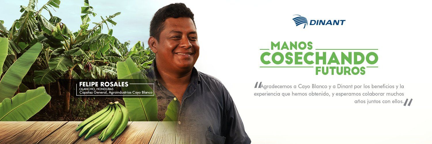 Dinant Logo & Brand Assets (SVG, PNG and vector) - Brandfetch