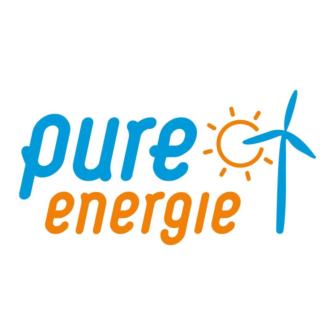 Pure Energie Logo & Brand Assets (SVG, PNG and vector) - Brandfetch