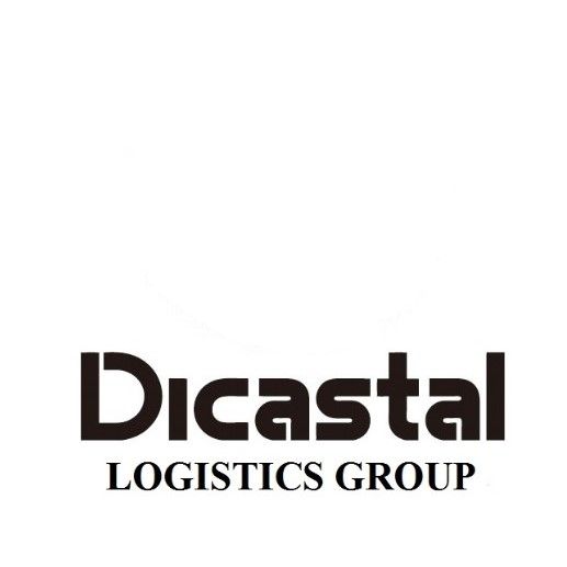 Dicastal Logistics Group | Canton MI Logo & Brand Assets (SVG, PNG and ...