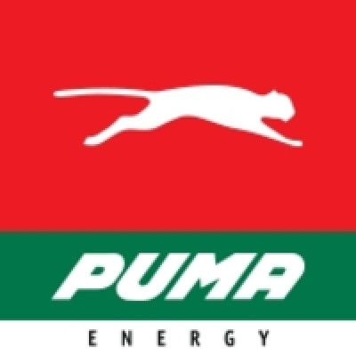 Puma Energy Logo & Brand Assets (SVG, PNG and vector) - Brandfetch