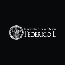 Unina Federico II Logo & Brand Assets (SVG, PNG and vector) - Brandfetch