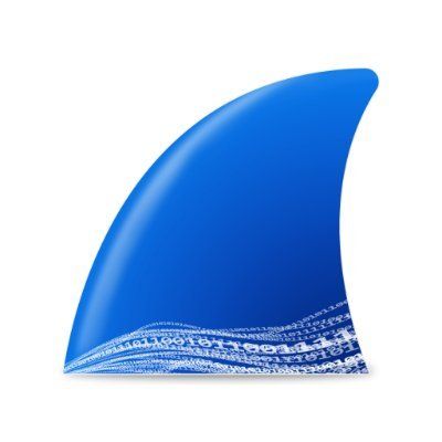 Wireshark Foundation Logo & Brand Assets (SVG, PNG and vector) - Brandfetch