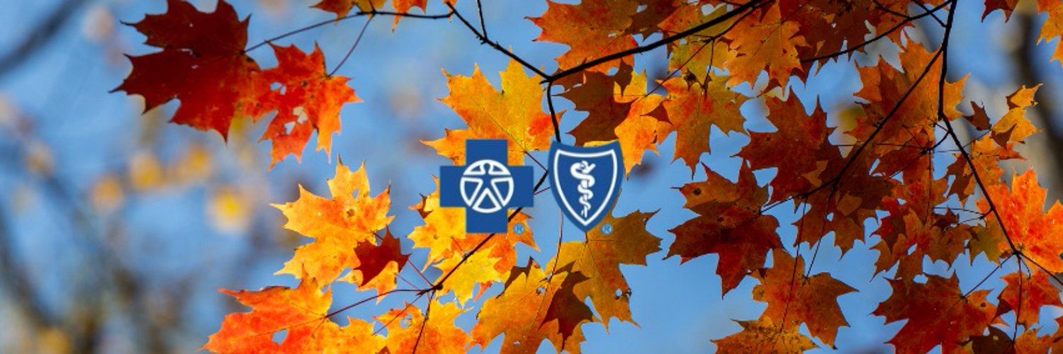 BCBSM Logo & Brand Assets (SVG, PNG and vector) - Brandfetch