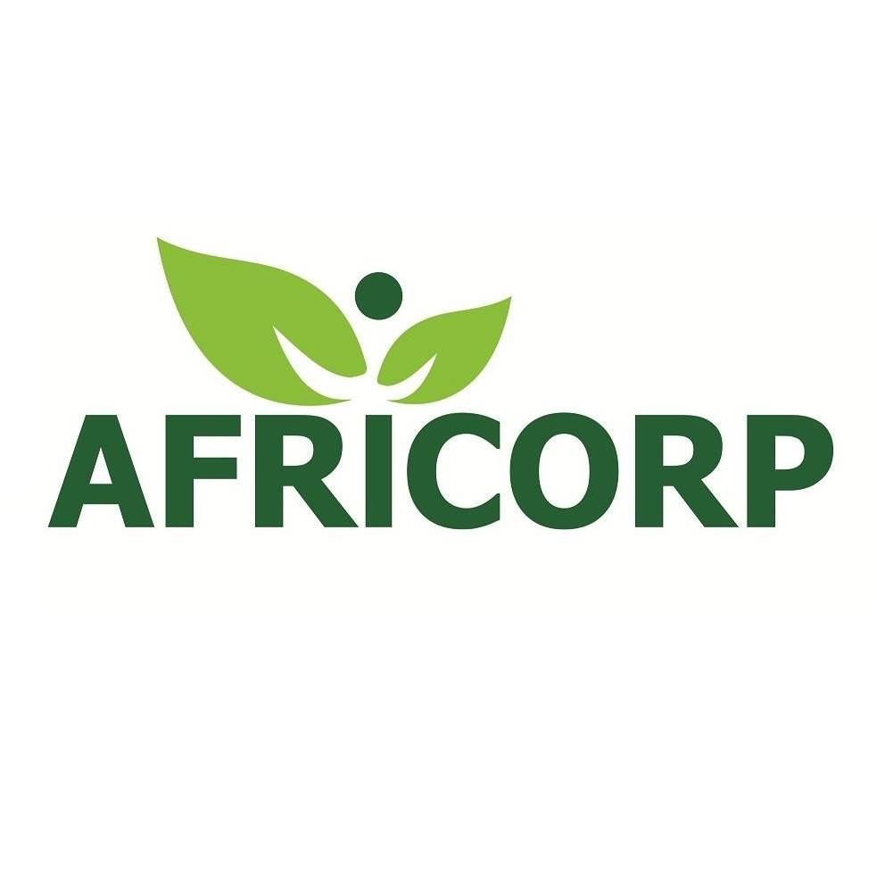 Africorp International Co. Ltd. | Khartoum Logo & Brand Assets (SVG ...