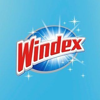 windex logo font