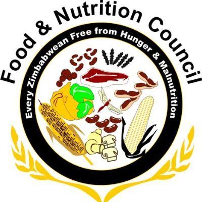 Food and Nutrition Council Zimbabwe Logo & Brand Assets (SVG, PNG and ...
