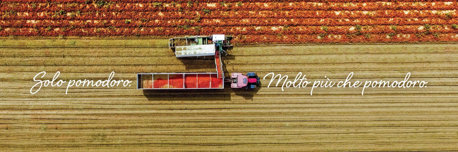 Mutti Pomodoro Logo & Brand Assets (SVG, PNG and vector) - Brandfetch