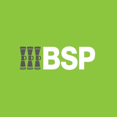 BSP Financial Group Limited Logo & Brand Assets (SVG, PNG and vector ...