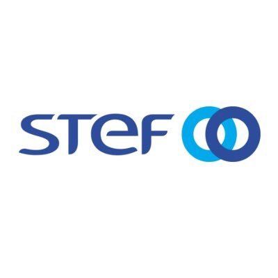 STEF Group Logo & Brand Assets (SVG, PNG and vector) - Brandfetch