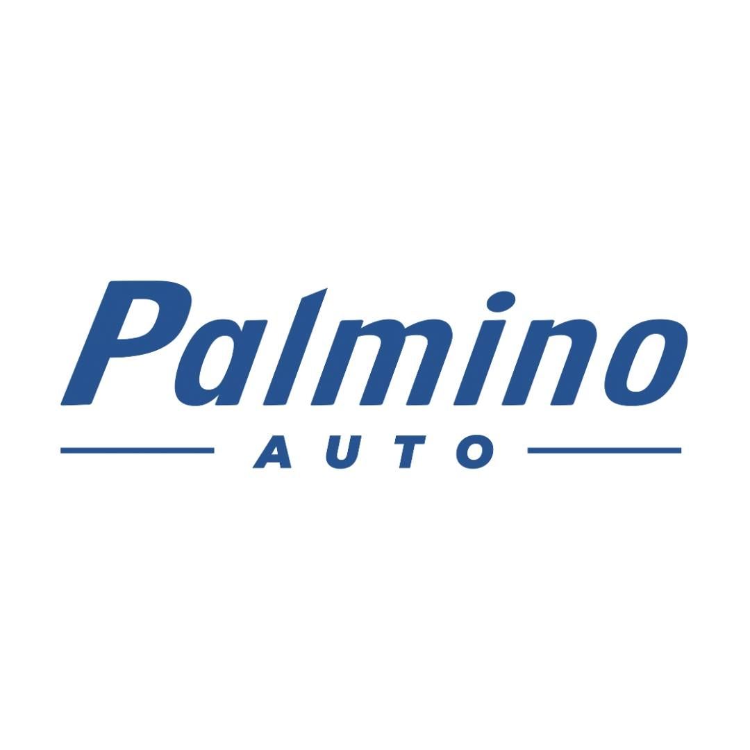 Auto Palmino Logo & Brand Assets (SVG, PNG and vector) - Brandfetch