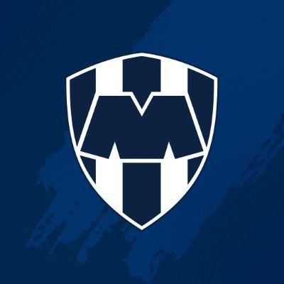 RAYADOS Logo & Brand Assets (SVG, PNG and vector) - Brandfetch