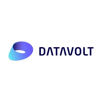 DataVolt Logo & Brand Assets (SVG, PNG and vector) - Brandfetch