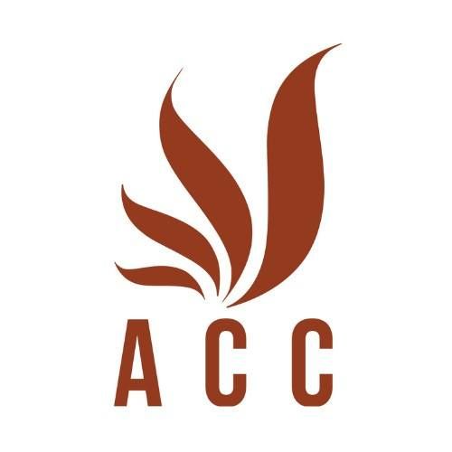 ACC Group Logo & Brand Assets (SVG, PNG and vector) - Brandfetch