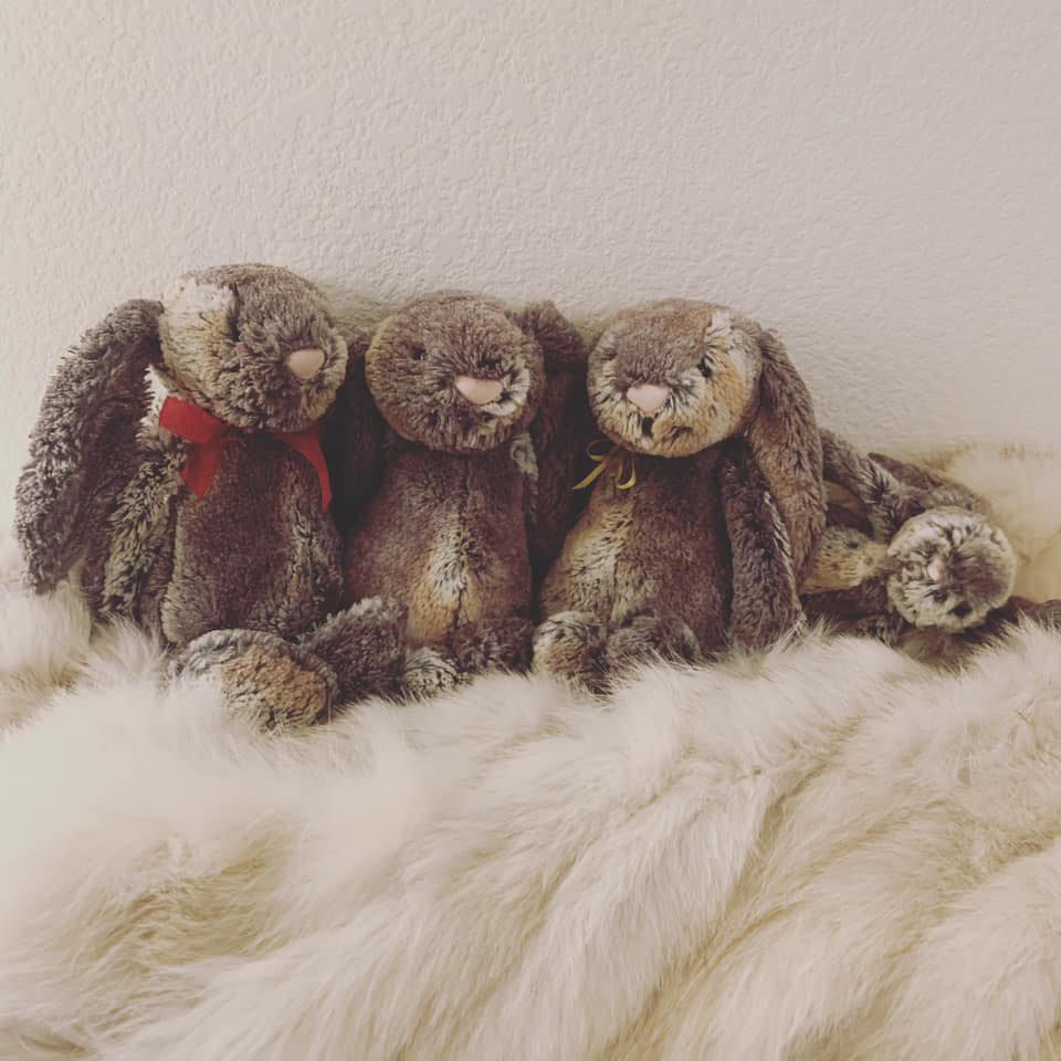 Jellycat Collector Database Logo & Brand Assets (SVG, PNG and vector ...