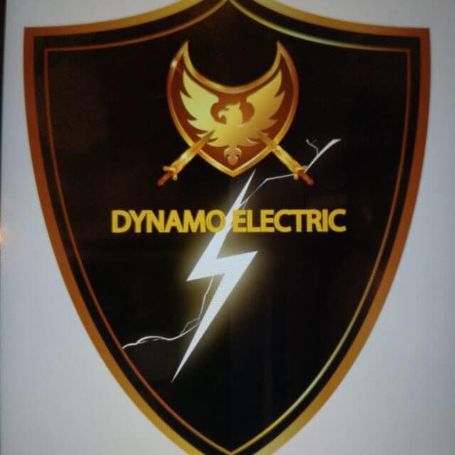 DYNAMO ELECTRIC Logo & Brand Assets (SVG, PNG and vector) - Brandfetch