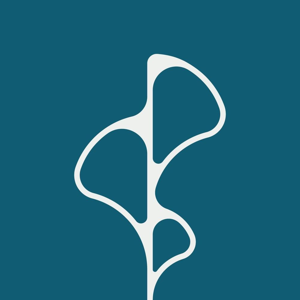 Fontana Logo & Brand Assets (SVG, PNG and vector) - Brandfetch