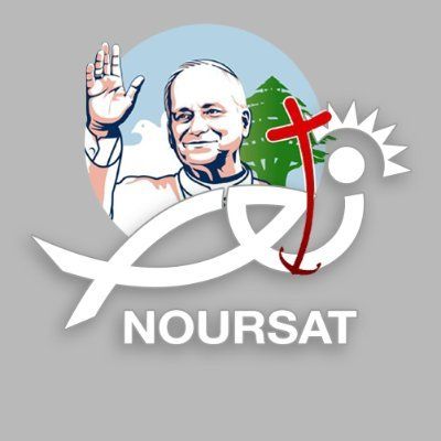Noursat Network Logo & Brand Assets (SVG, PNG and vector) - Brandfetch