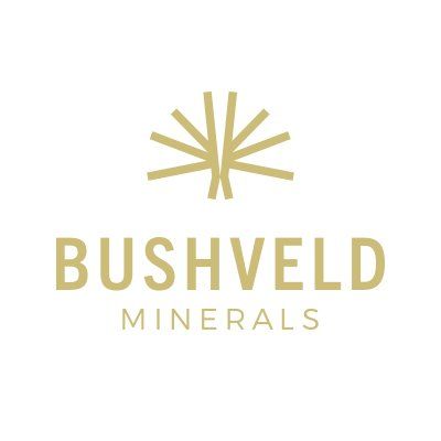 Bushveld Minerals Logo & Brand Assets (SVG, PNG and vector) - Brandfetch