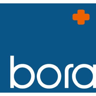 bora logo