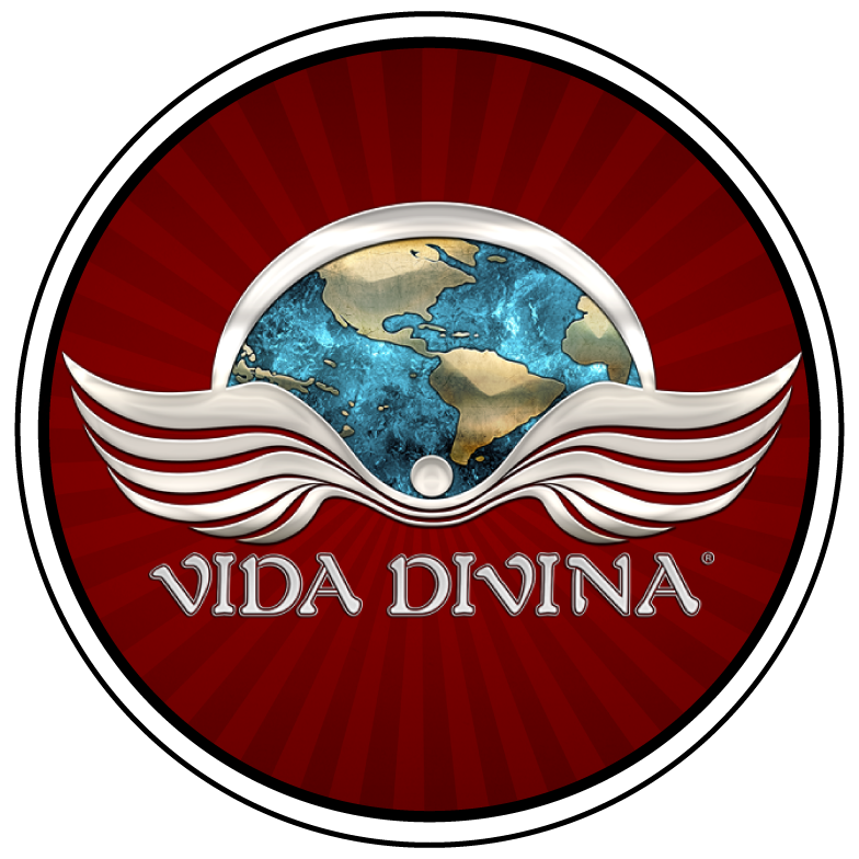 vida logo vector