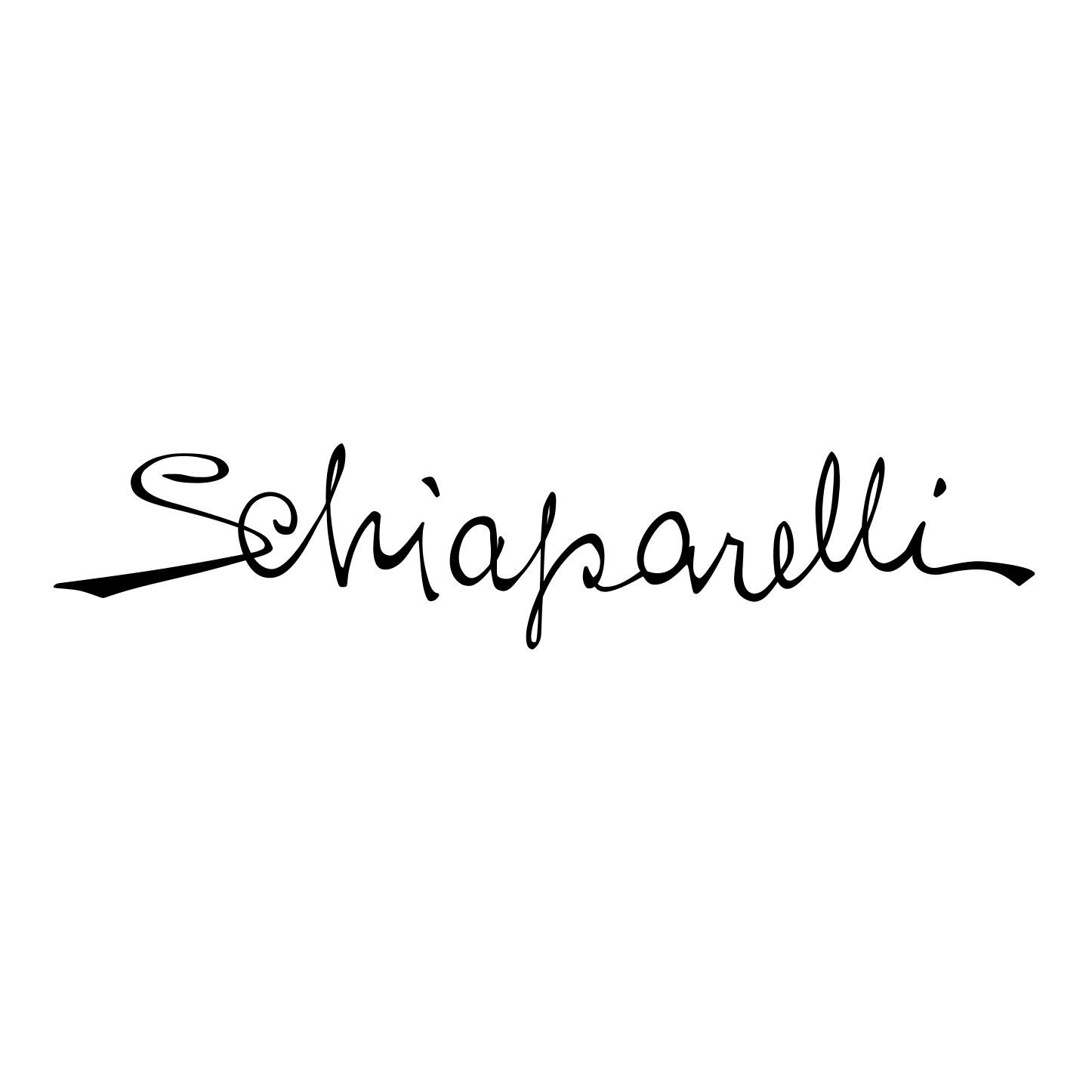Schiaparelli Logo & Brand Assets (SVG, PNG and vector) - Brandfetch