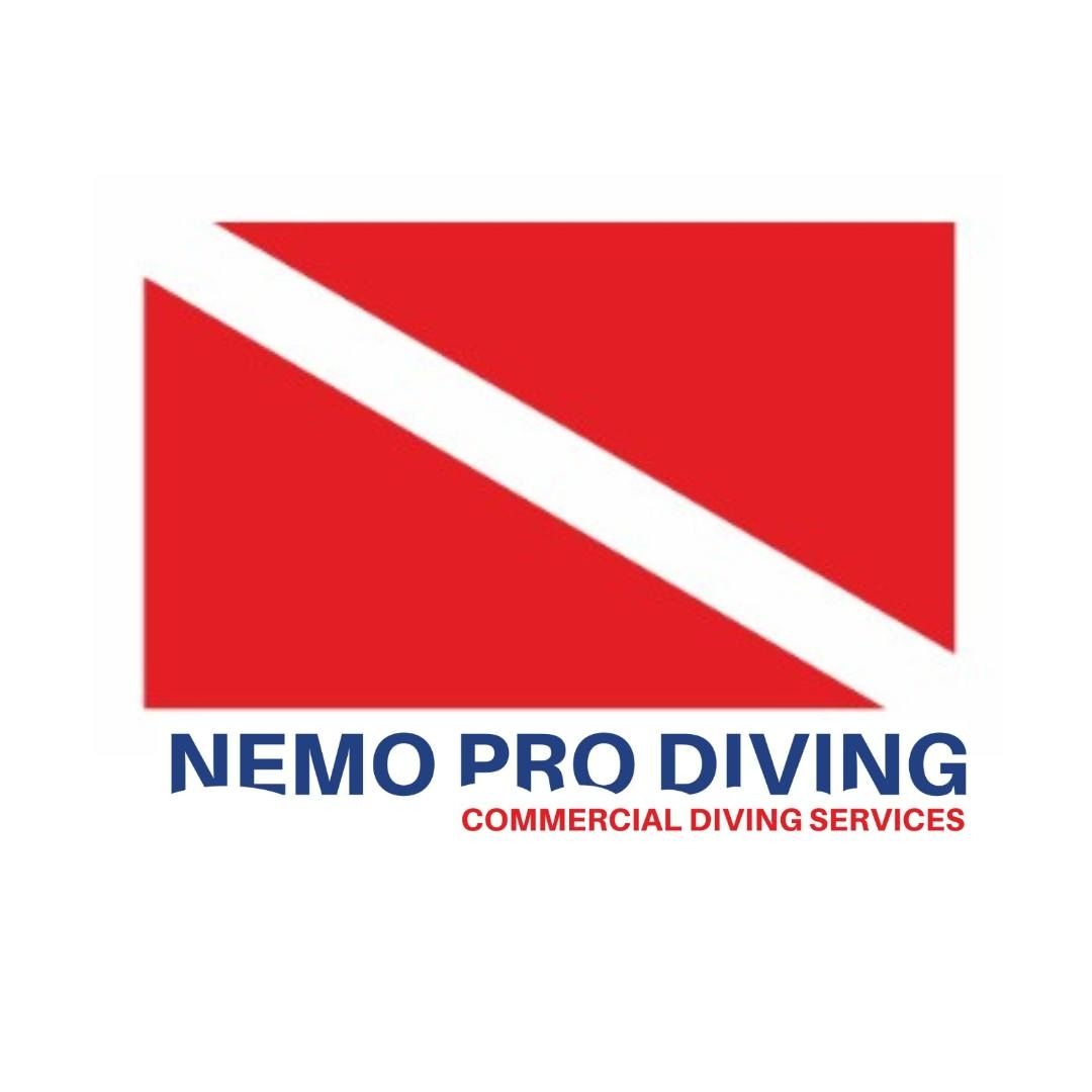 Nemo Pro Diving Logo & Brand Assets (SVG, PNG and vector) - Brandfetch