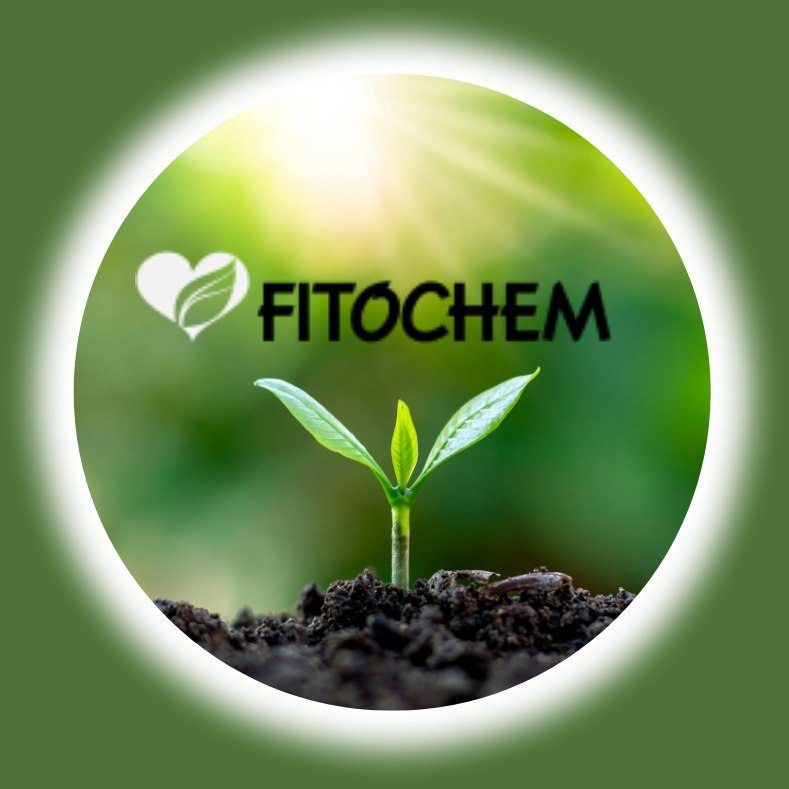 Fitochem Logo & Brand Assets (SVG, PNG and vector) - Brandfetch