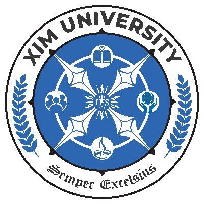 XIM Logo & Brand Assets (SVG, PNG and vector) - Brandfetch