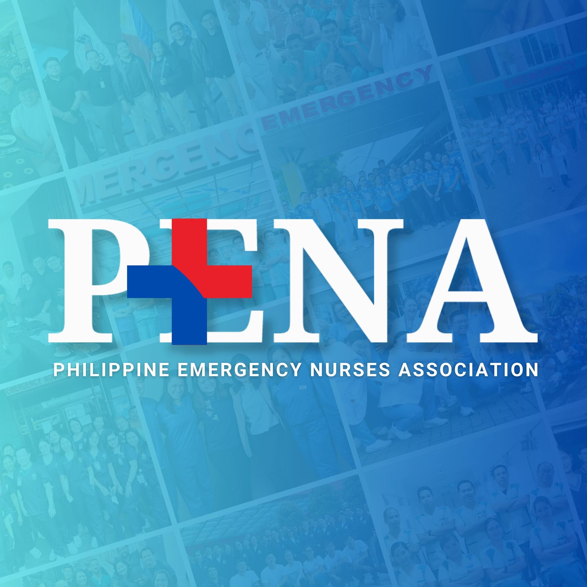 Philippine Emergency Nurses Association Logo & Brand Assets (SVG, PNG ...