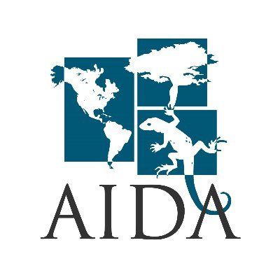 AIDA Logo & Brand Assets (SVG, PNG and vector) - Brandfetch