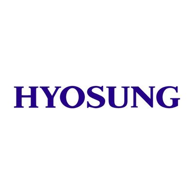 Hyosung Logo & Brand Assets (SVG, PNG and vector) - Brandfetch