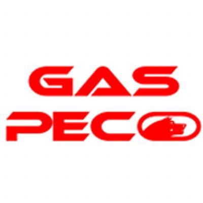 Gaspeco Logo & Brand Assets (SVG, PNG and vector) - Brandfetch