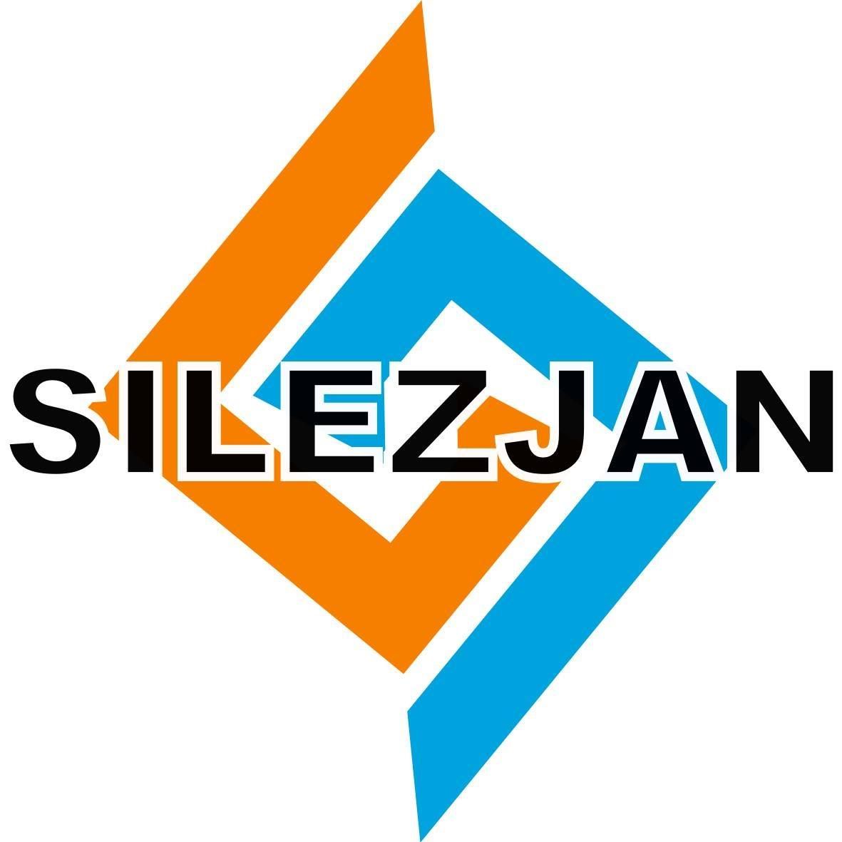 Silezjan ochrona osób i mienia Logo & Brand Assets (SVG, PNG and vector ...