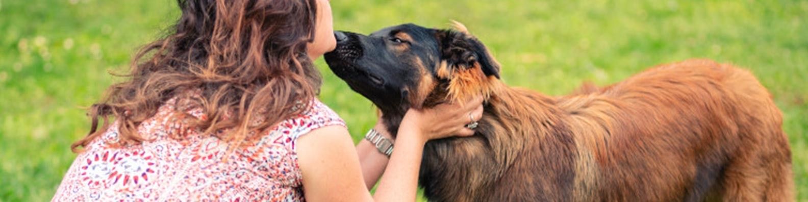 Virbac Logo & Brand Assets (SVG, PNG and vector) - Brandfetch