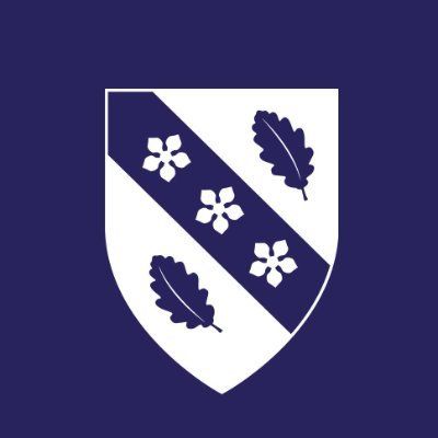 University of Wales Trinity Saint David Logo & Brand Assets (SVG, PNG ...