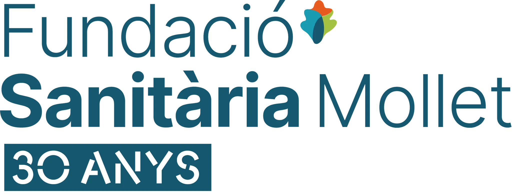FSM Fundació Sanitària Mollet Logo & Brand Assets (SVG, PNG and vector ...