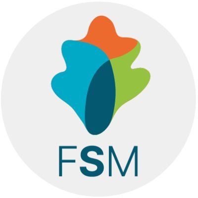 FSM Fundació Sanitària Mollet Logo & Brand Assets (SVG, PNG and vector ...