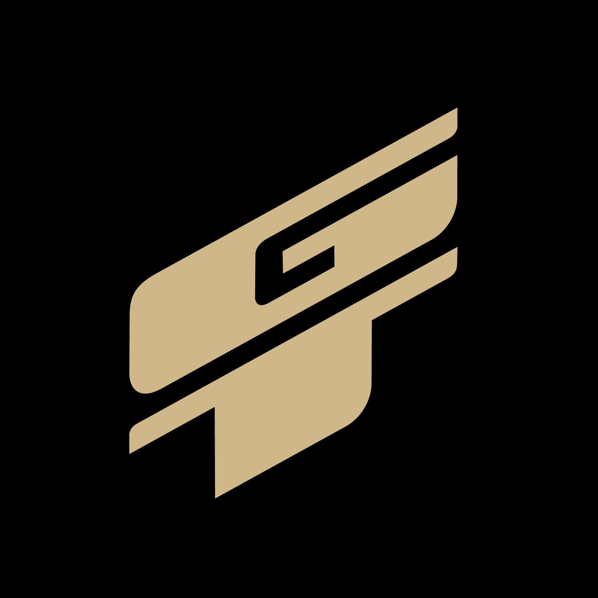 g t logo